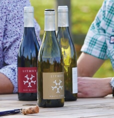 wine-shop-background - Litmus Wines